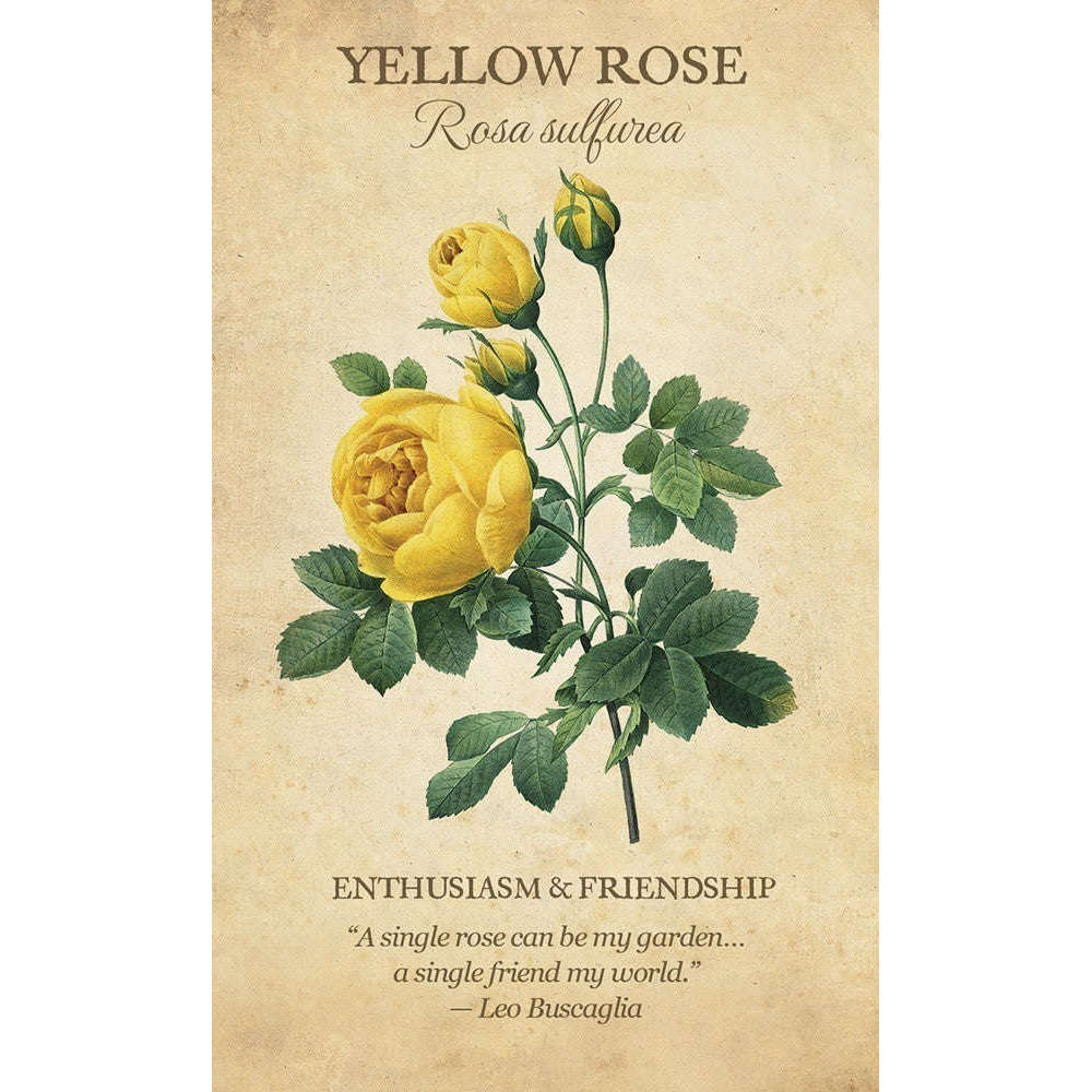 Botanical Inspirations Deck & Book USGS – TarotMerchant