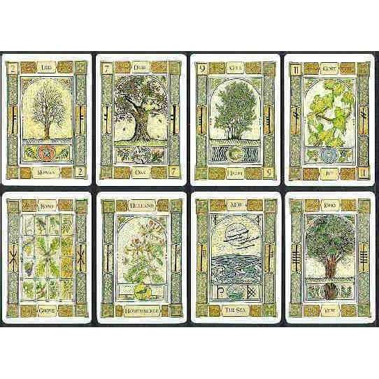 Celtic Tree Oracle - 25 Cards & 116 Page Guidebook – TarotMerchant