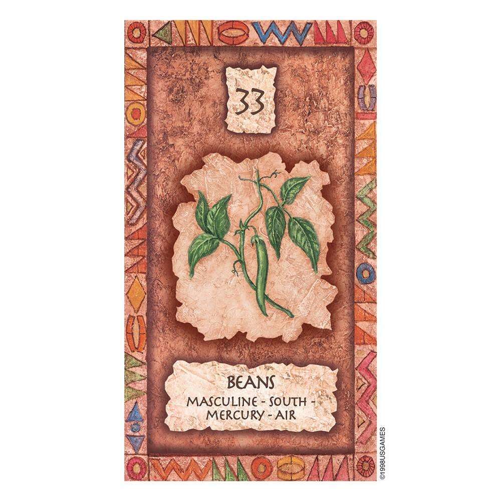 Shaman Wisdom Cards USGS – TarotMerchant