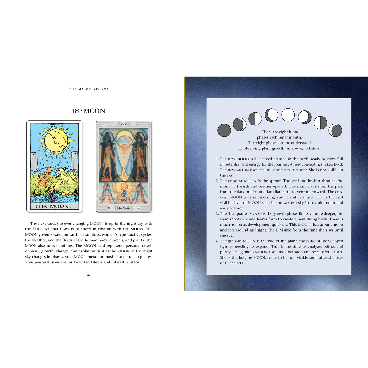 Introduction to Tarot Book – TarotMerchant